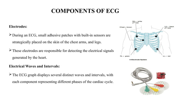 CARDIOLOGY MEDICAL DEVICES AND ITS USE. | PPTX