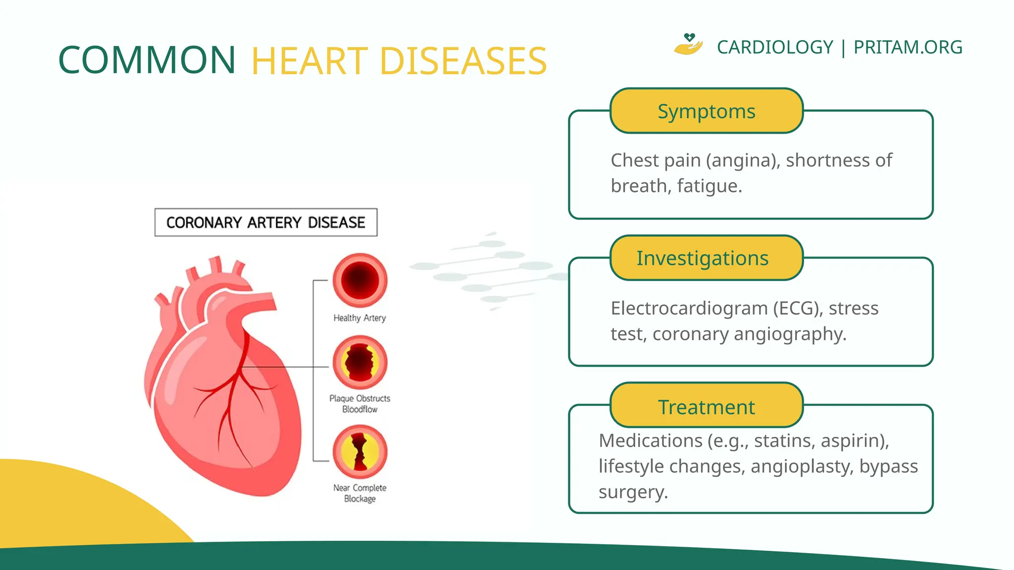 Understanding Cardiology: A Comprehensive Guide Presentation to Heart ...