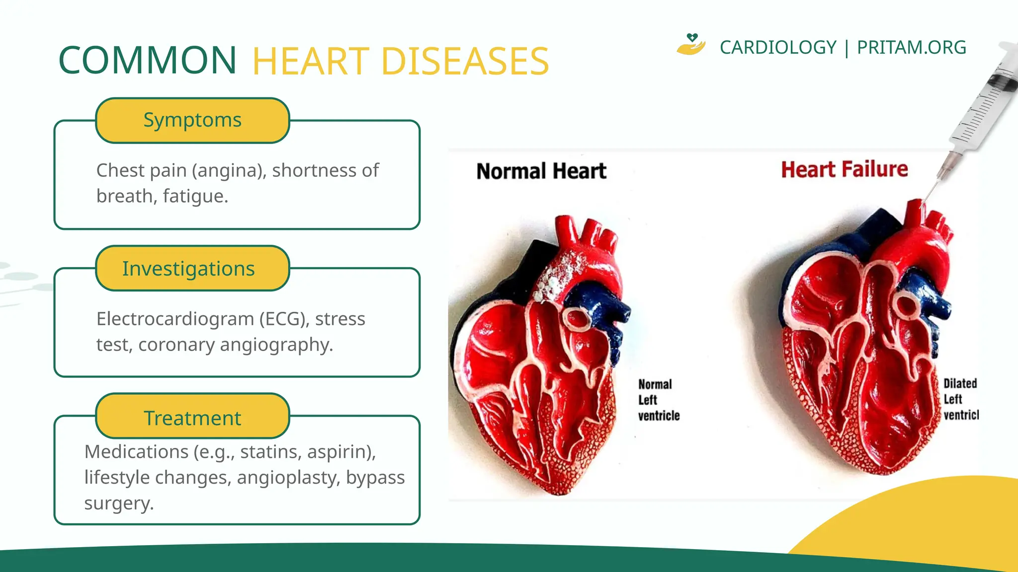 Understanding Cardiology: A Comprehensive Guide Presentation to Heart ...