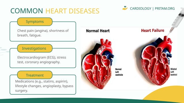 Understanding Cardiology: A Comprehensive Guide Presentation to Heart ...