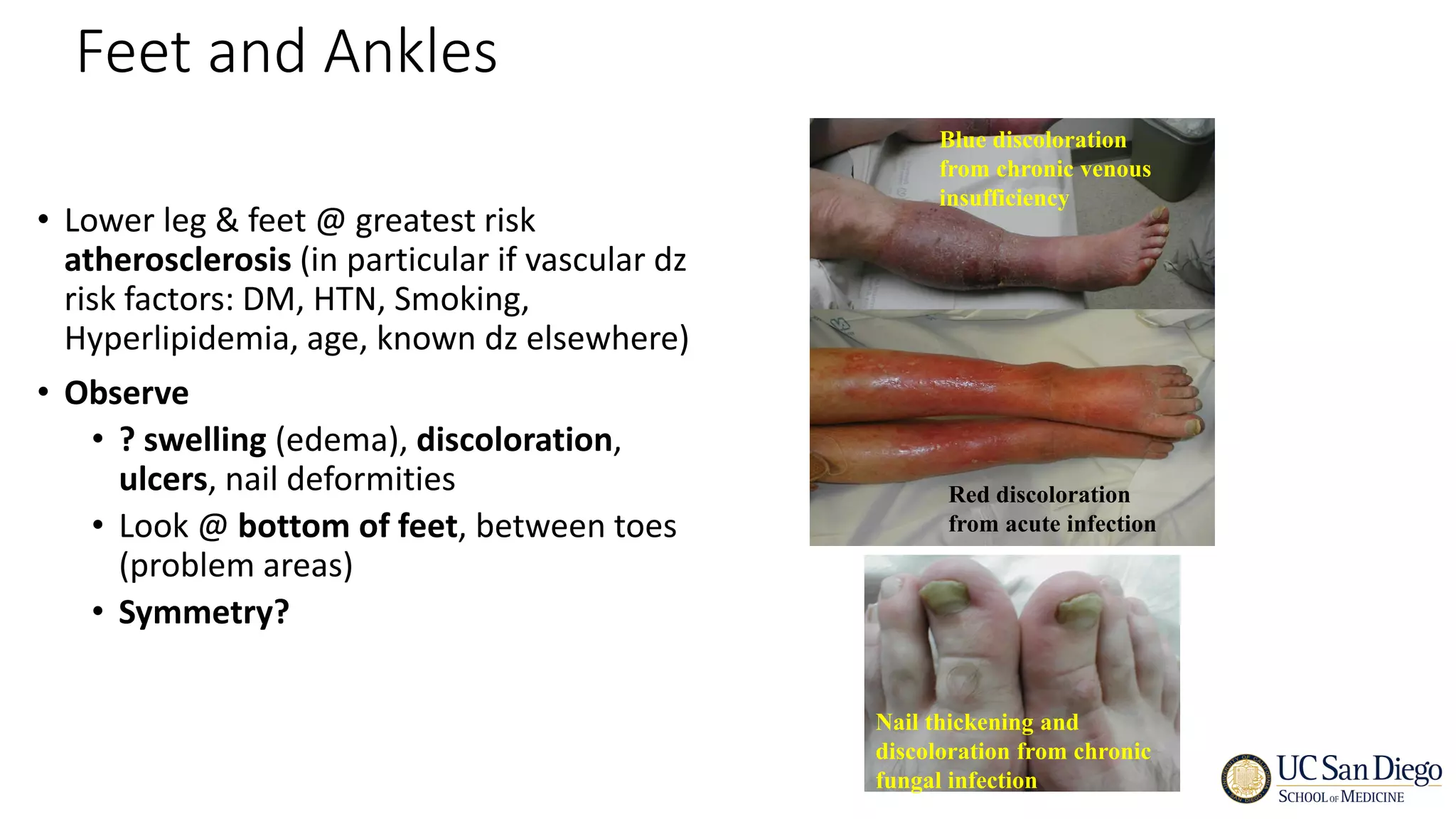 Cardiolovascular Exam.pdf | Heart and Cardiovascular Diseases ...