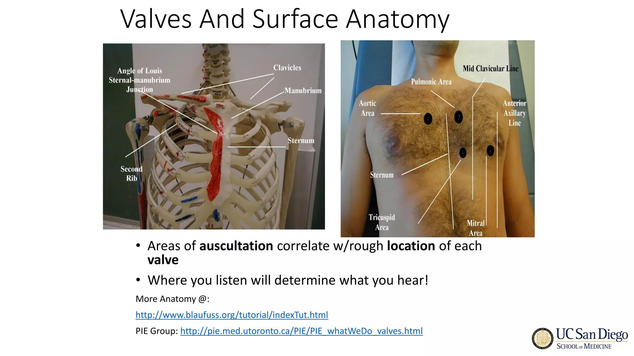 Cardiolovascular Exam.pdf | Heart and Cardiovascular Diseases ...