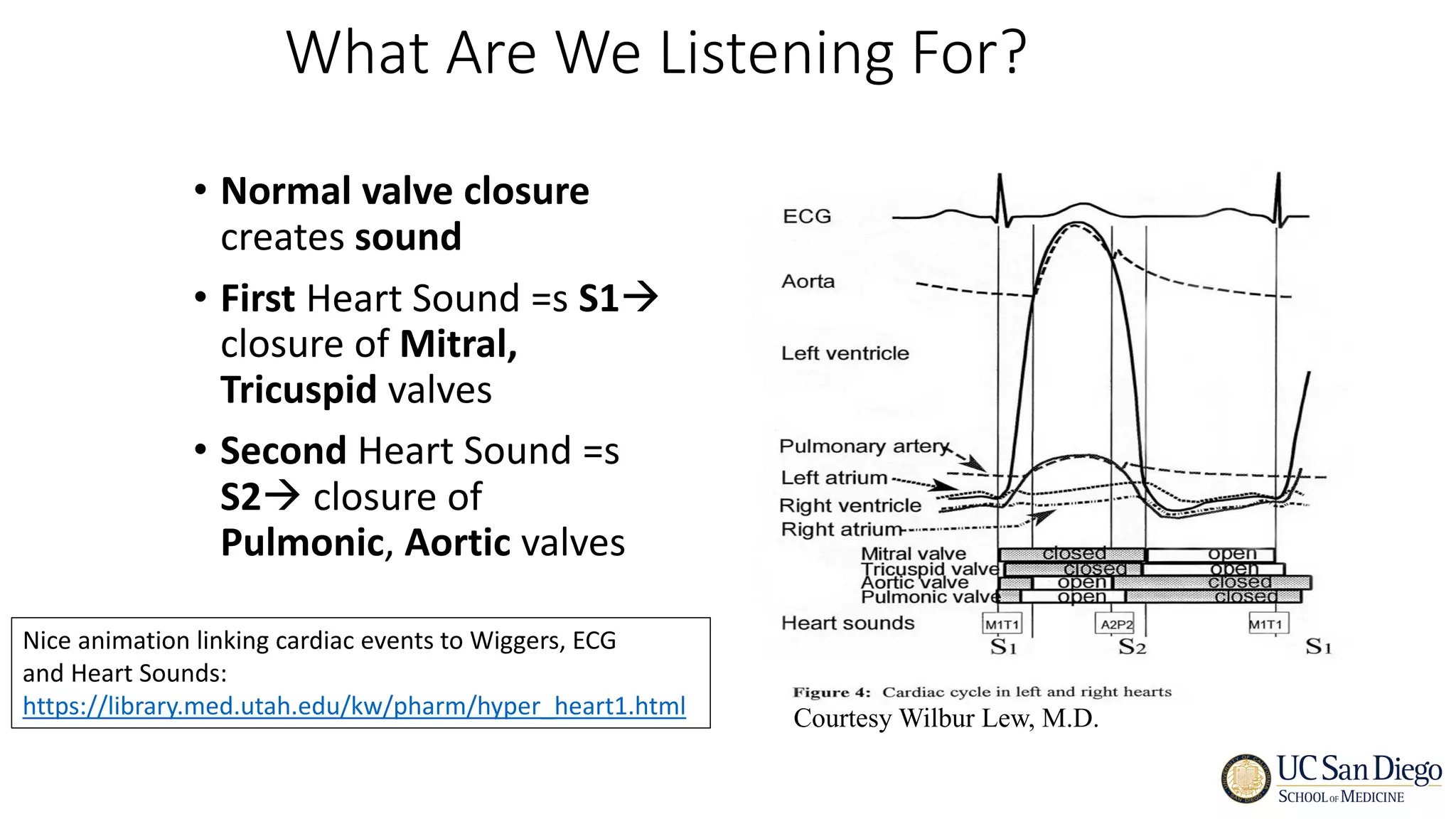 Cardiolovascular Exam.pdf