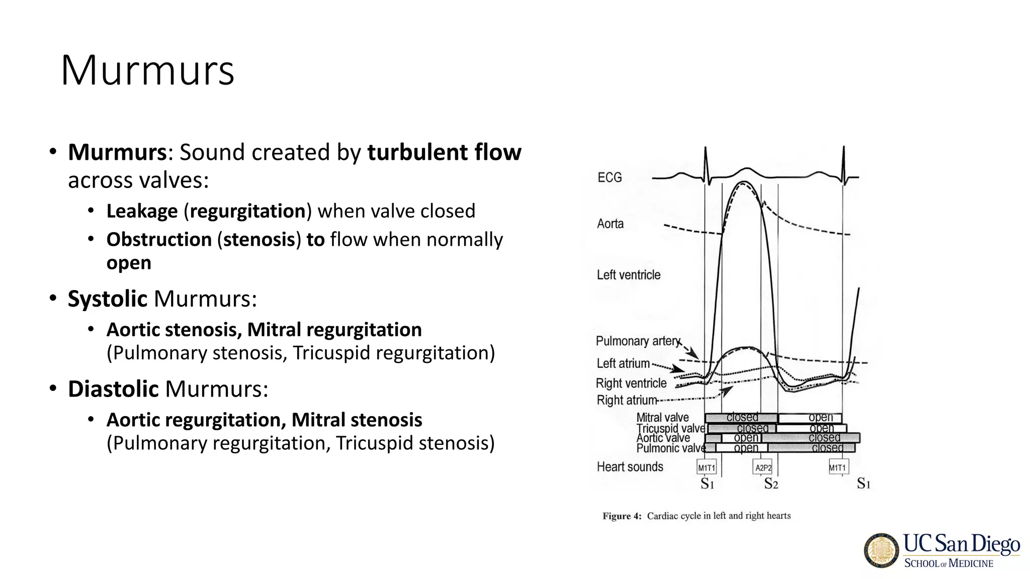 Cardiolovascular Exam.pdf