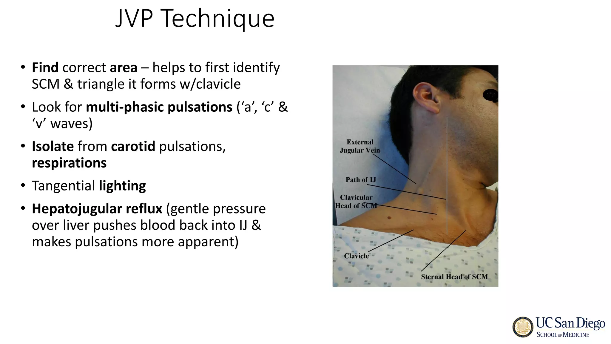 Cardiolovascular Exam.pdf