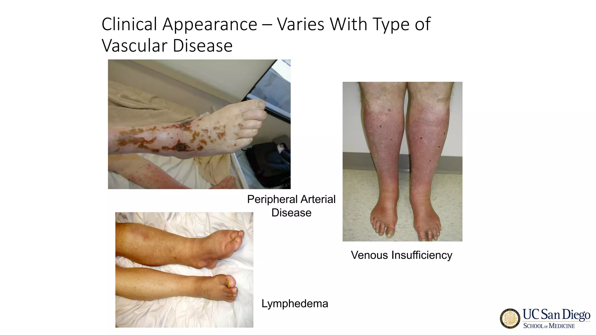Cardiolovascular Exam.pdf