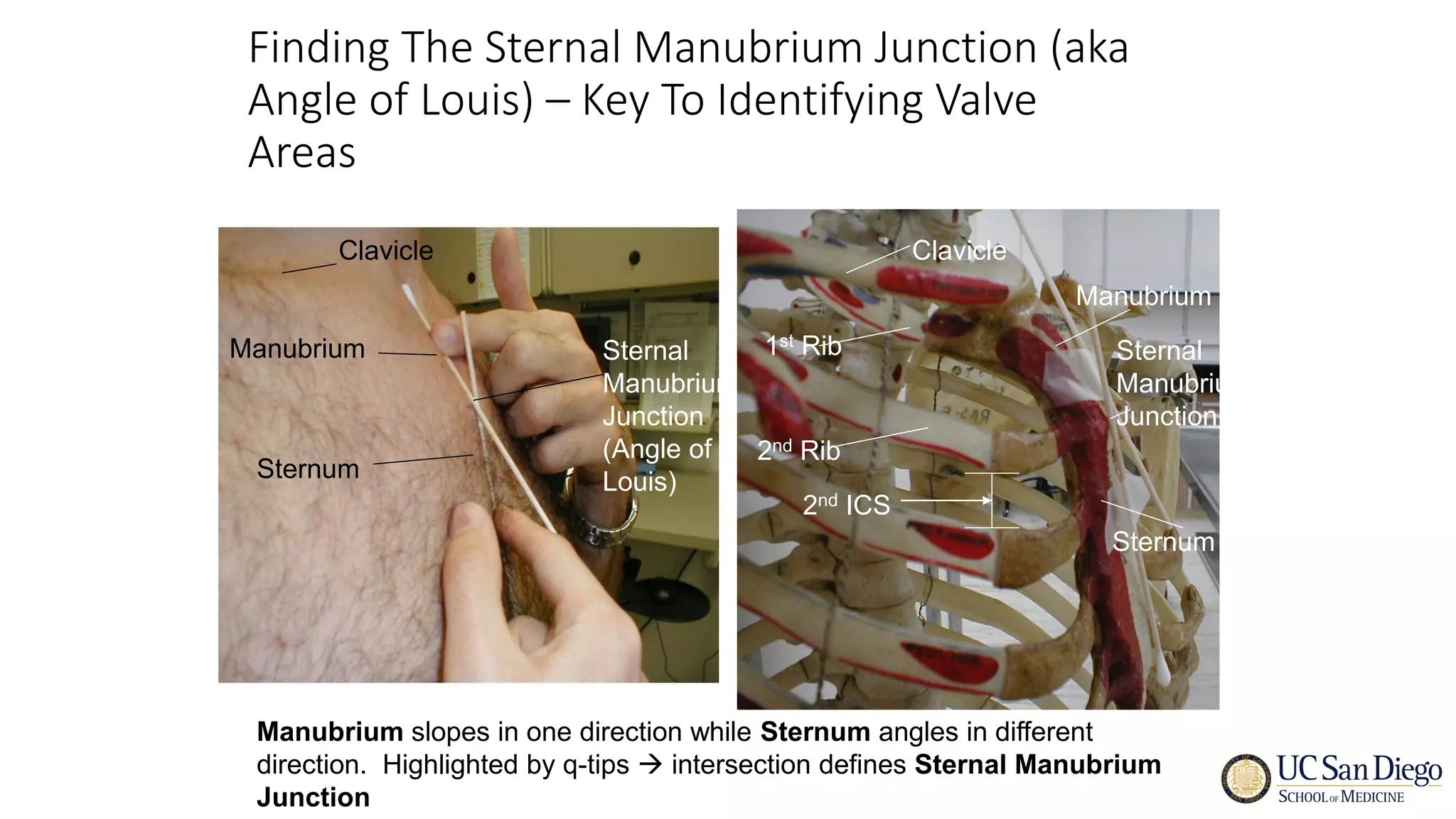 Cardiolovascular Exam.pdf