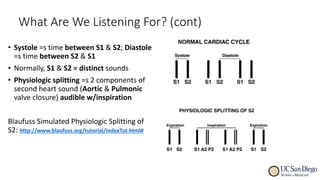 Cardiolovascular Exam.pdf