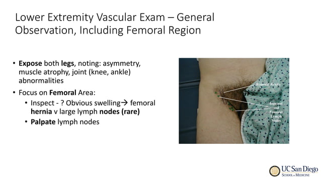 Cardiolovascular Exam.pdf