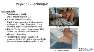 Cardiolovascular Exam.pdf