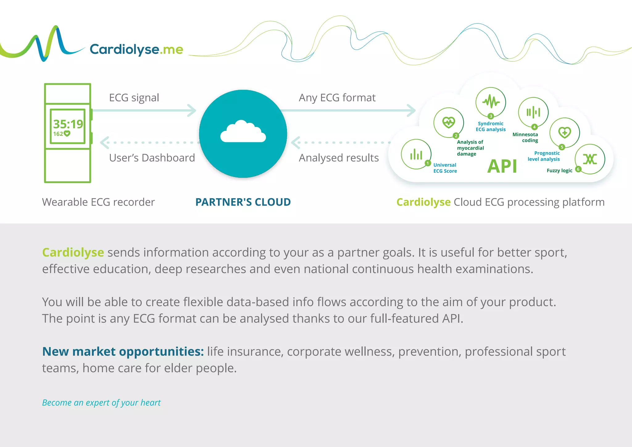 Cardiolyse - Pitch Deck (fitness) | PDF