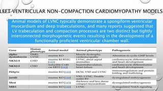 animal models for evaluation of drugs for Cardiomyopathies | PPTX