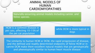 animal models for evaluation of drugs for Cardiomyopathies | PPTX