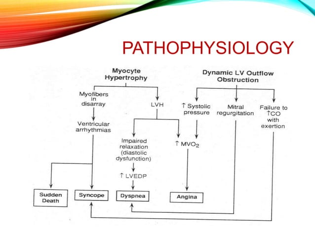 Cardiomyopathy