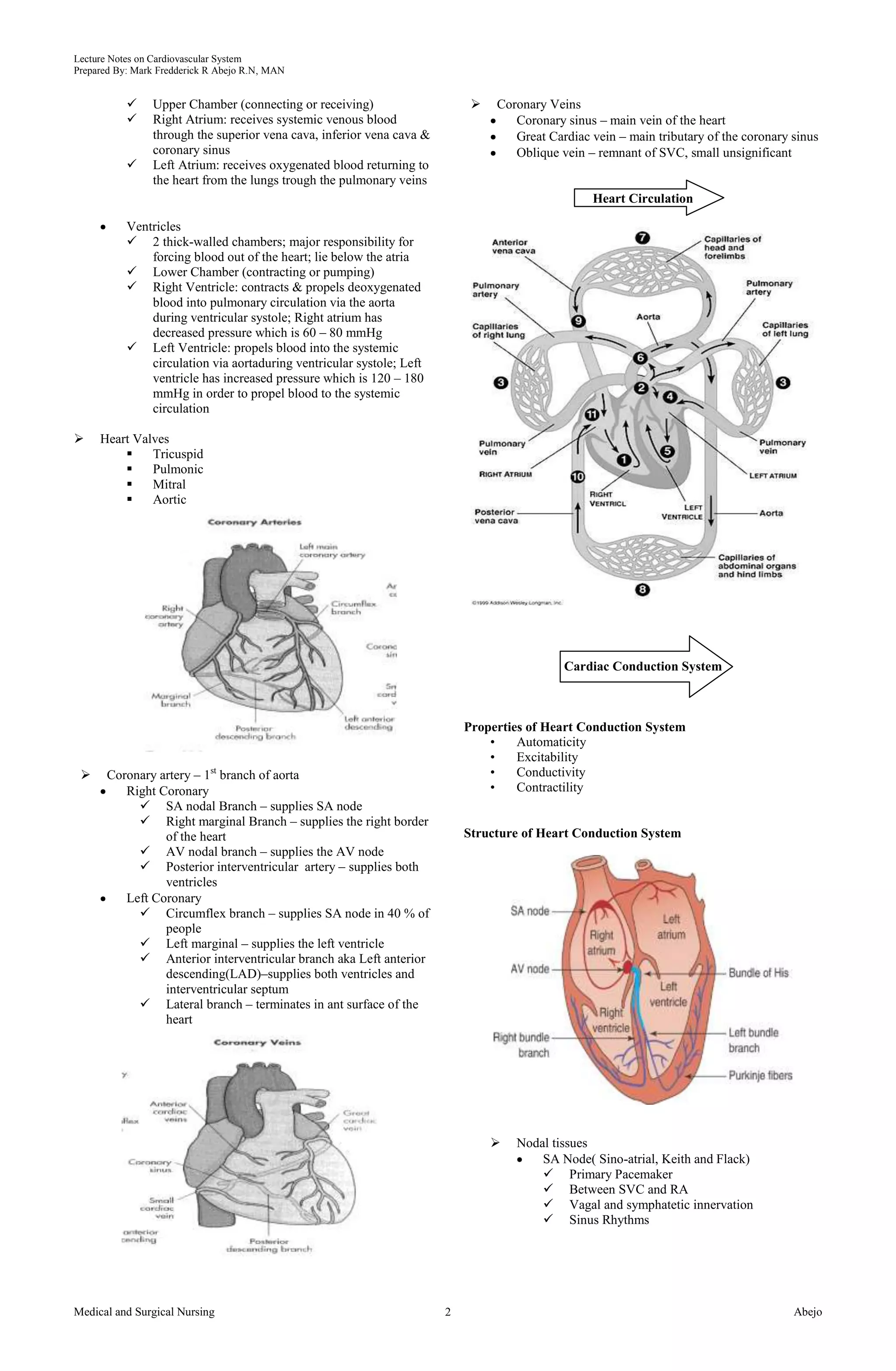 Cardiovascular Nursing | PDF