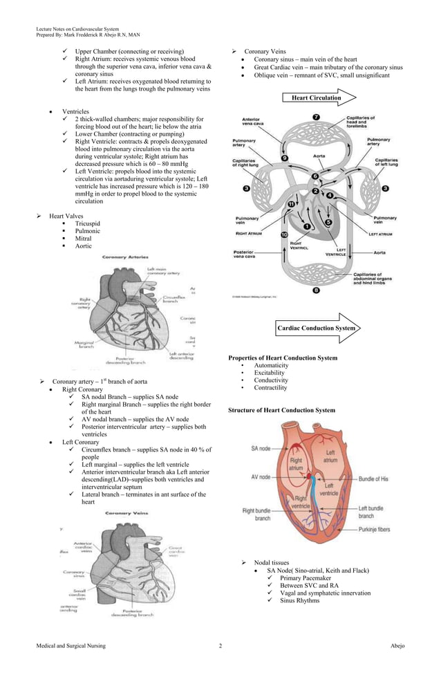 Cardiovascular Nursing | PDF | Heart and Cardiovascular Diseases ...