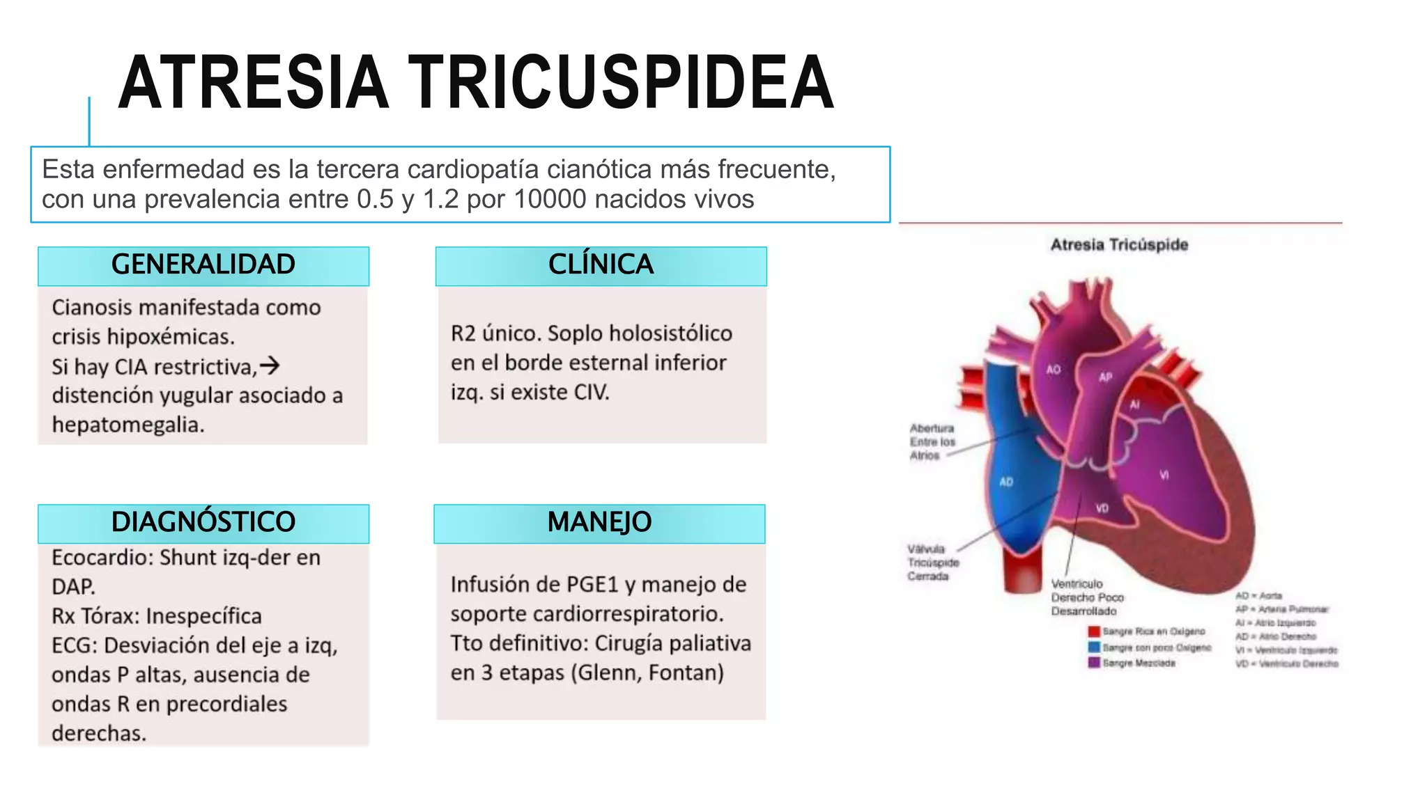CardiopatÍas AcianÓticas Y CianÓticas Pptx