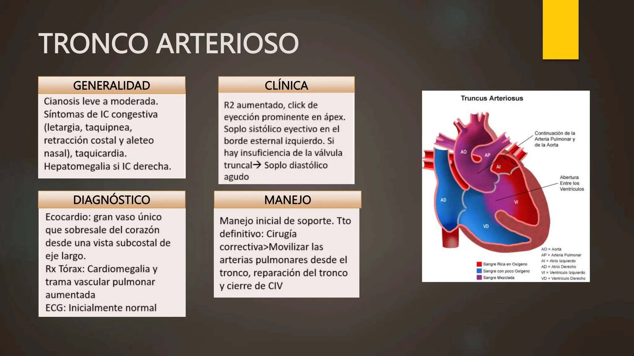 CardiopatÍas AcianÓticas Y CianÓticas Pptx