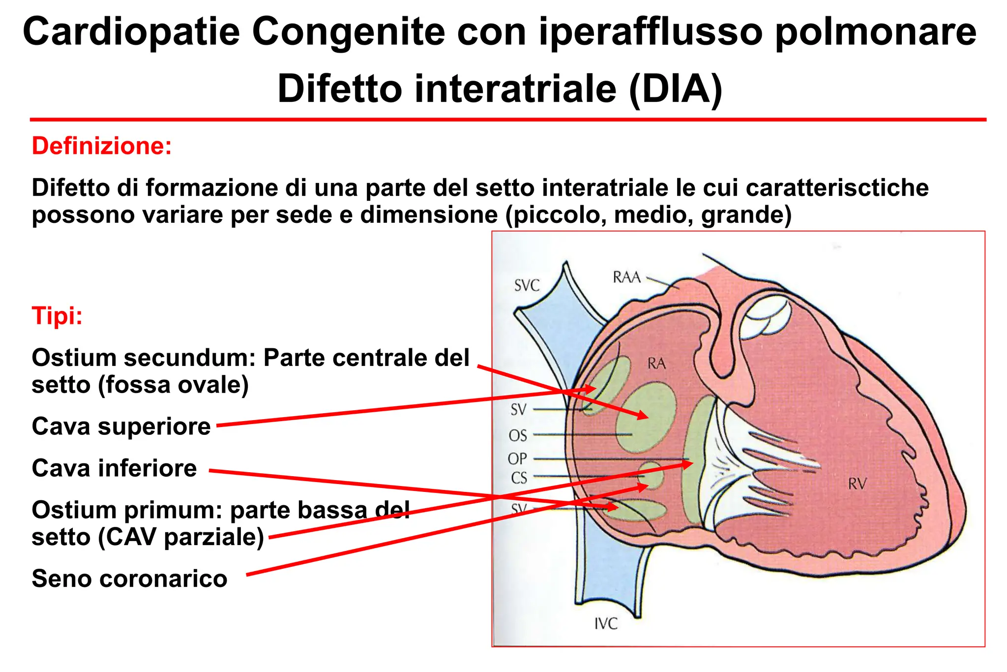 Cardiopatie Congenite cardiologia medicina | PPT