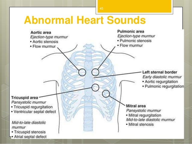 REVIEW OF CARDIOVASCULAR AND PULMONARY SYSTEMS AND VITAL SIGNS