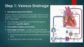 Cardiopulmonary Bypass (CPB) | Heart-Lung Machine, Procedure, Risks ...