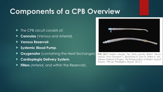 Cardiopulmonary Bypass (CPB) | Heart-Lung Machine, Procedure, Risks ...