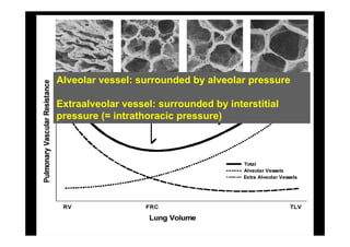 Cardio Pulmonary Interactions during Mechanical Ventilation | PDF