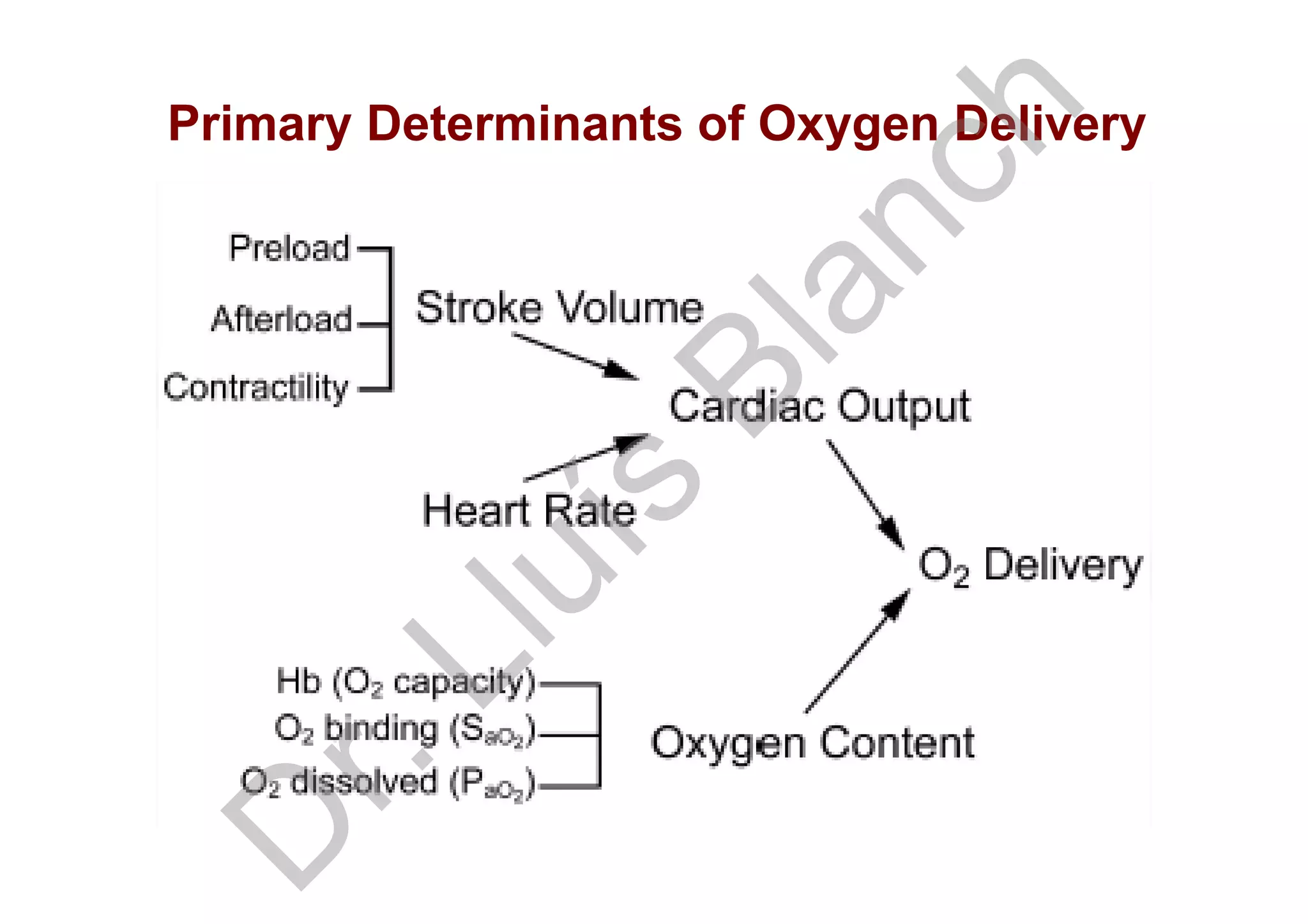 Cardio pulmonary interactions during Mechanical Ventilation | PDF