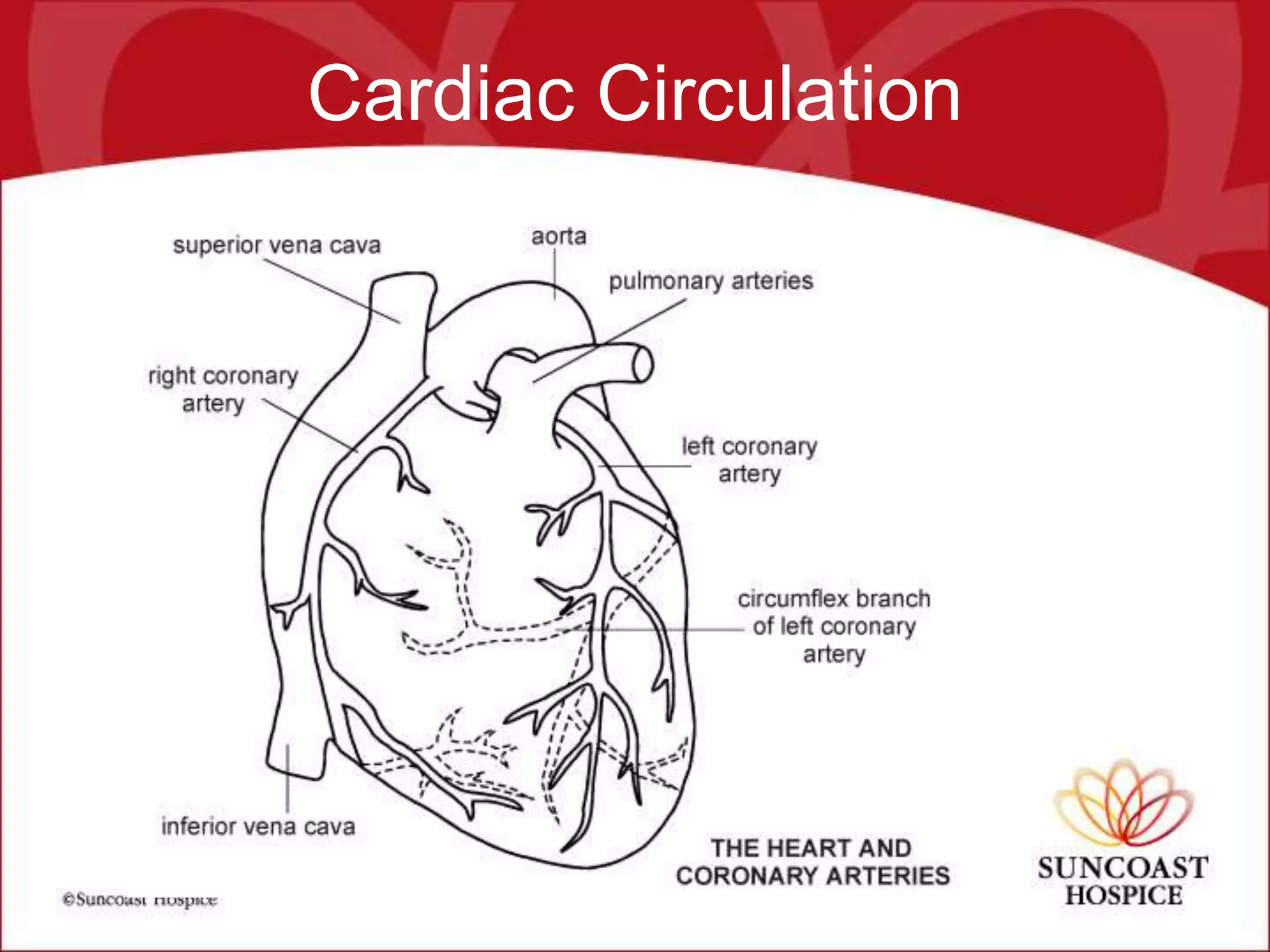 Cardiopulmonary Disease by Deirdre Woods, MD | PPTX