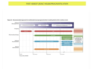 CARDIO PULMONARY RESUSITATION.pptx