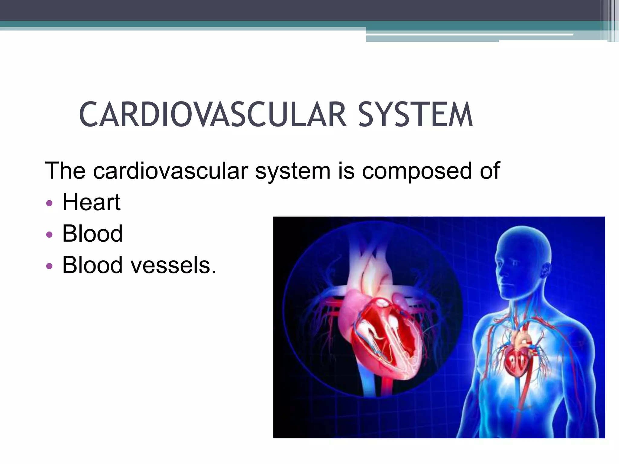 Cardiopulmonary system overview | PPTX