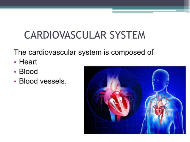 Cardiopulmonary system overview | PPTX | Heart and Cardiovascular ...