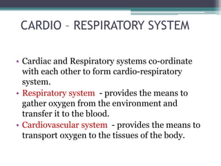 Cardiopulmonary system overview | PPTX