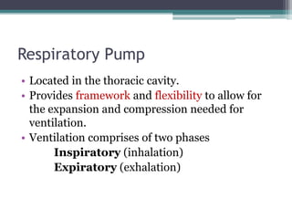 Cardiopulmonary system overview | PPTX