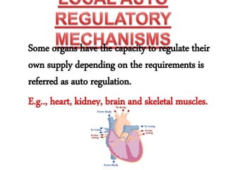 Cardio regulatory mechanism | PPSX