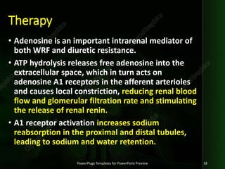 Cardiorenal syndrome | PPSX