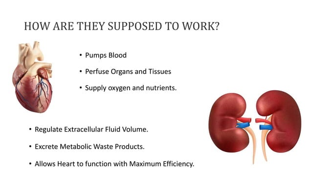 Cardio Renal Syndrome CRS All types.pptx | Heart and Cardiovascular ...