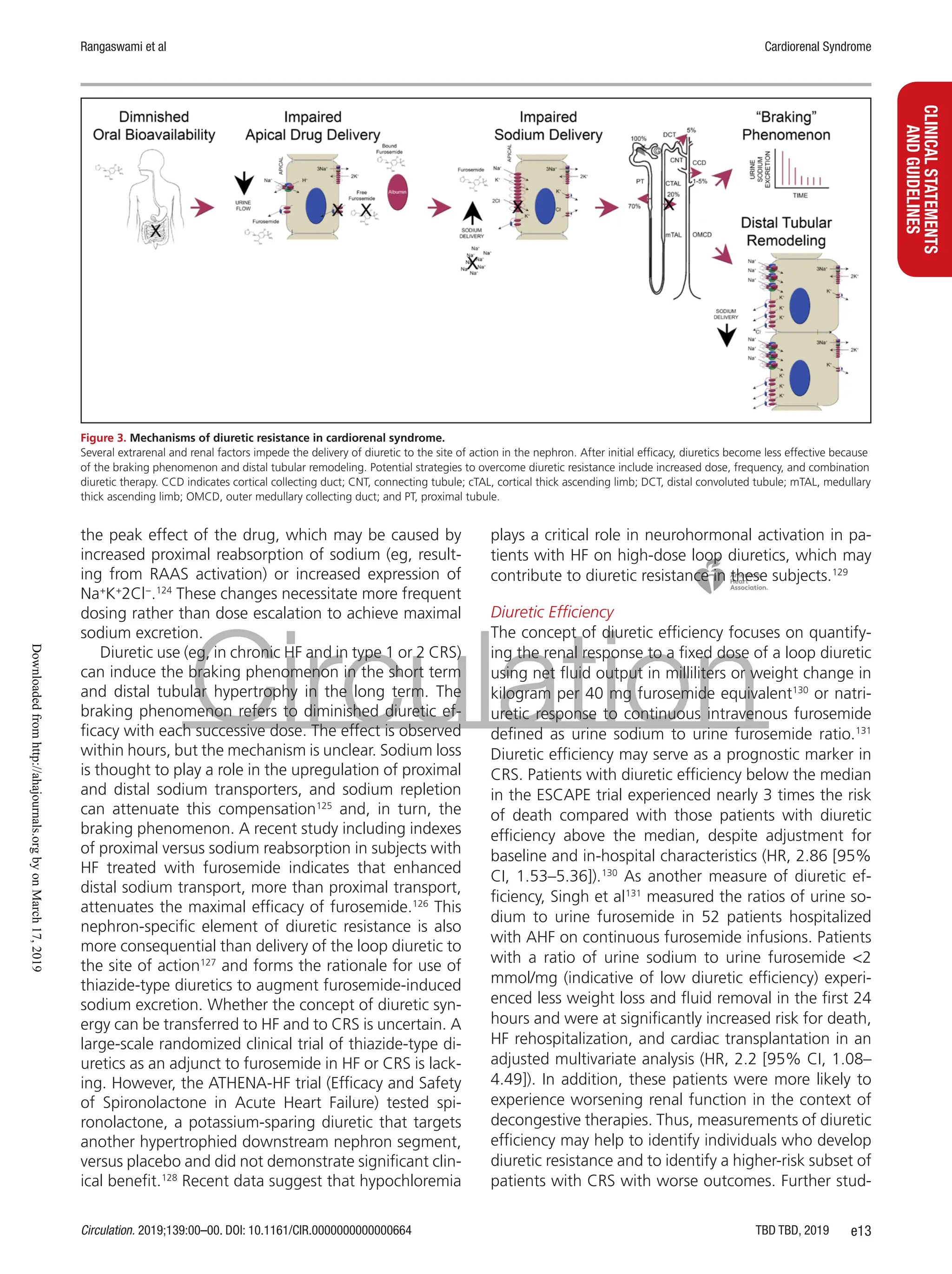 Cardiorenal Syndrome Classification, Pathophysiology, Diagnosis, and ...