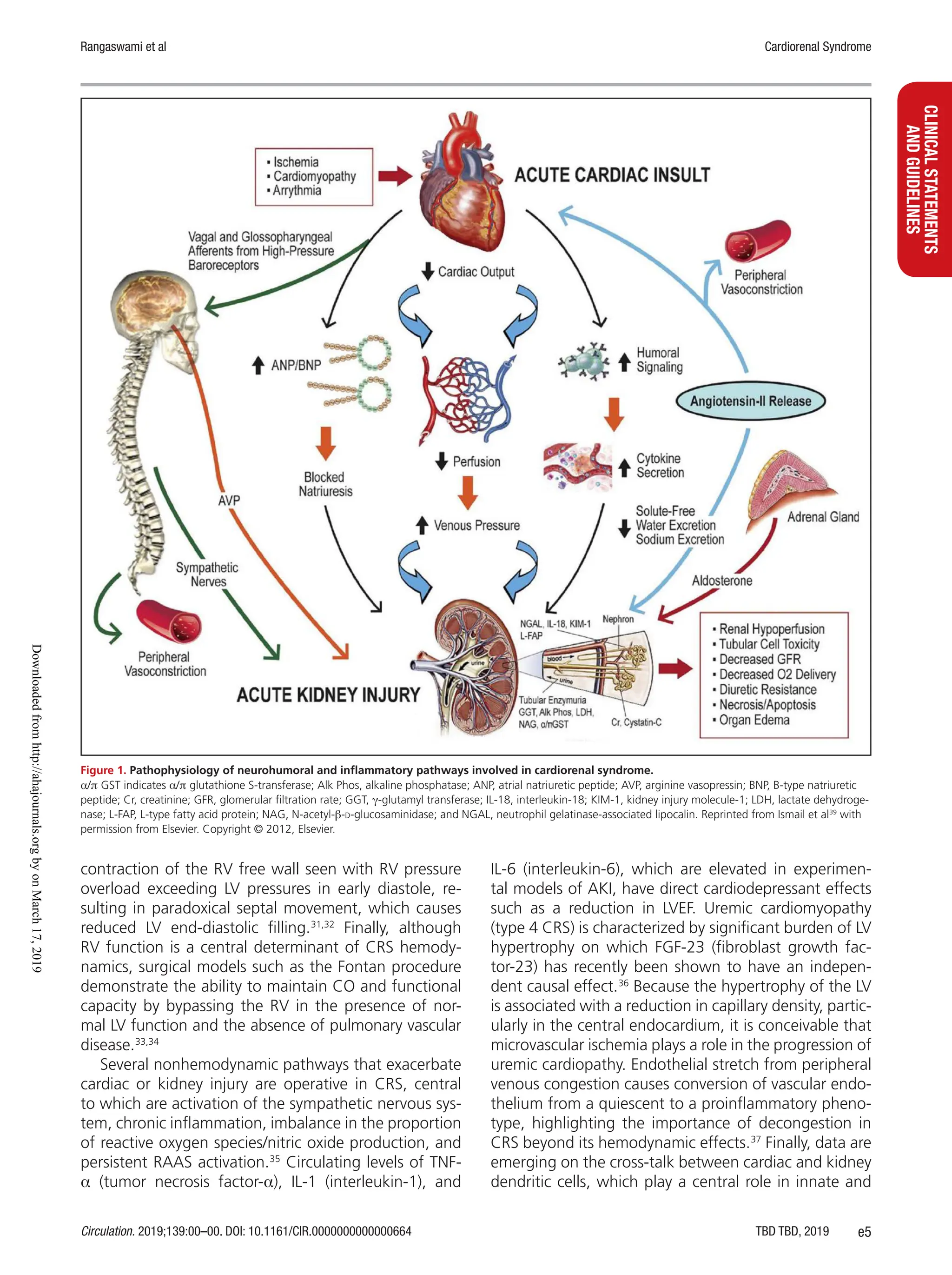 Cardiorenal Syndrome Classification, Pathophysiology, Diagnosis, and ...