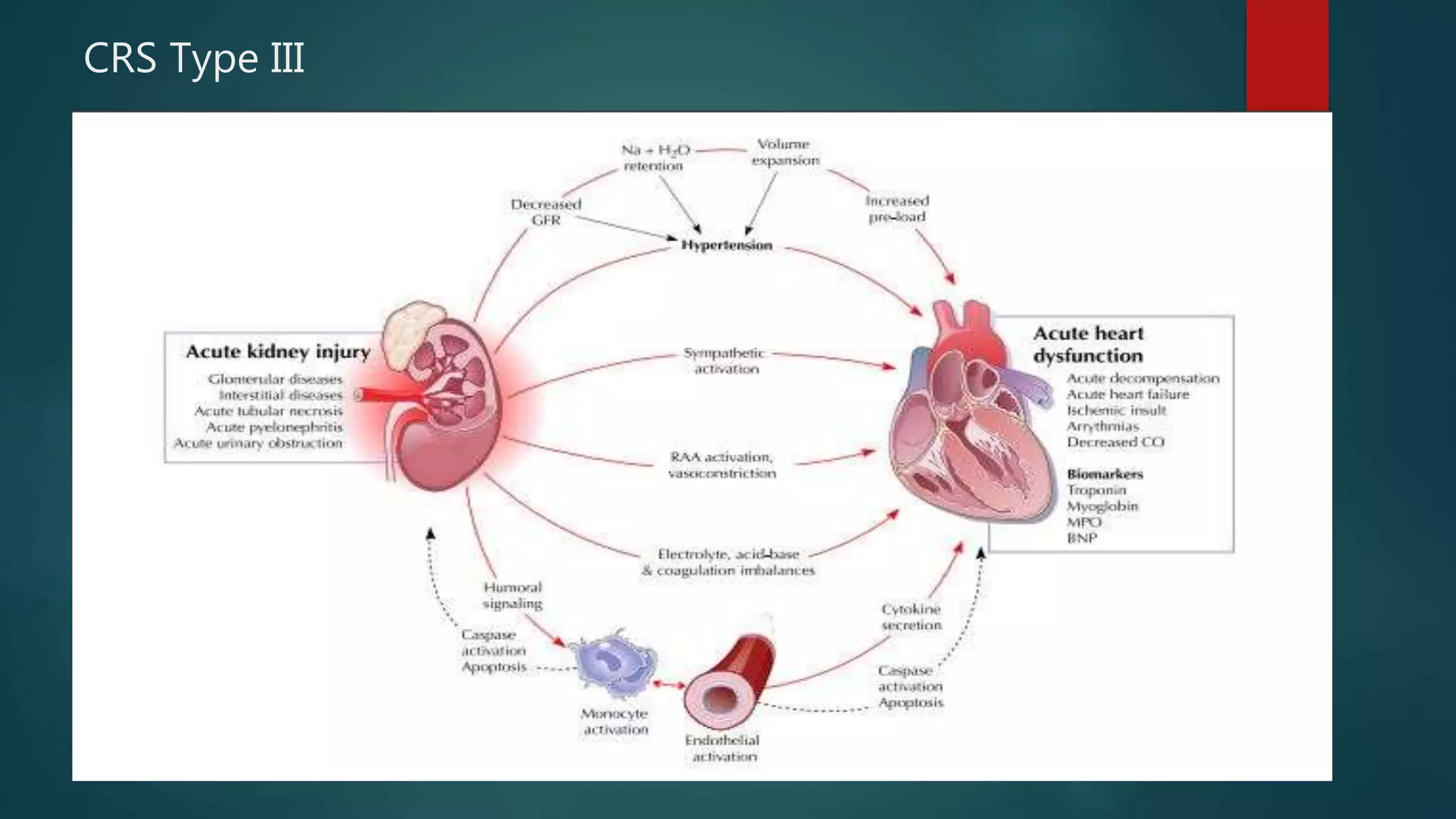 Cardiorenal syndromes and management | PPTX