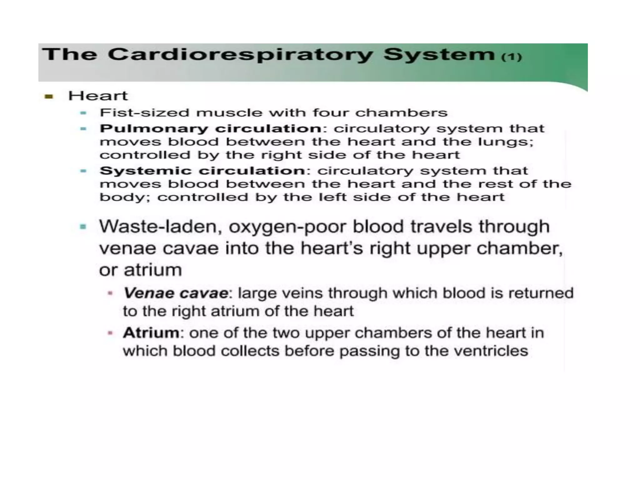Cardiorespiratory endurance-1.pdf | Heart and Cardiovascular Diseases ...