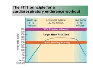 Cardiorespiratory endurance-1.pdf | Heart and Cardiovascular Diseases ...