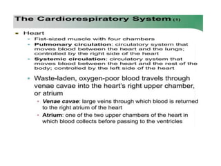 Cardiorespiratory endurance-1.pdf