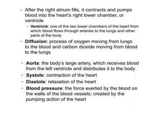 Cardiorespiratory endurance-1.pdf