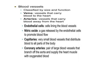 Cardiorespiratory endurance-1.pdf
