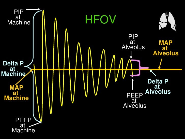 Cardiorespiratory Interactions
