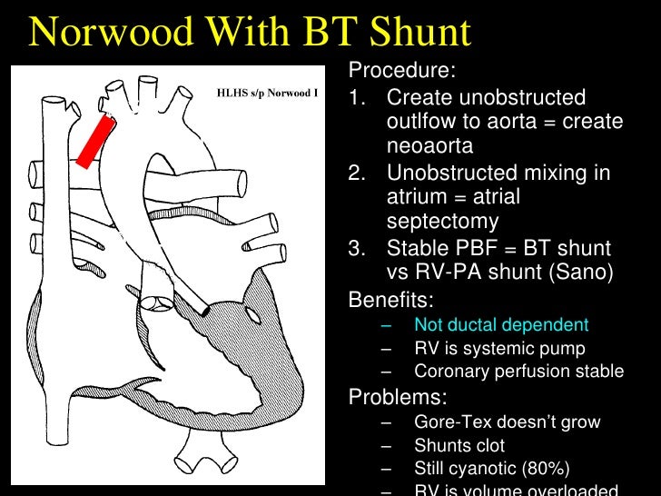Cardiorespiratory Interactions