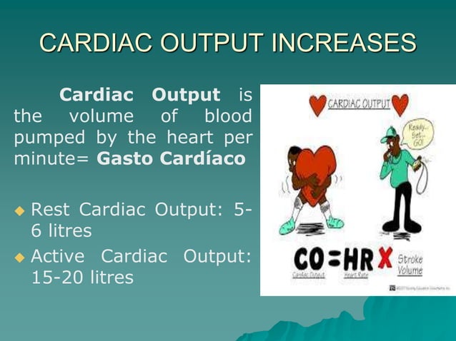 Cardiorespiratory system 3º | PPTX | Heart and Cardiovascular Diseases ...