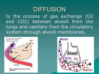 Cardiorespiratory system 3º | PPTX | Heart and Cardiovascular Diseases ...