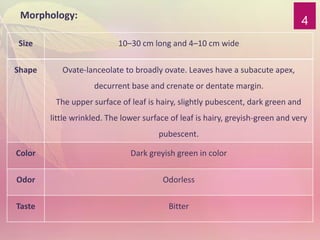 CARDIOTONICS.pptx | Herbs and Supplements | Alternative Medicine